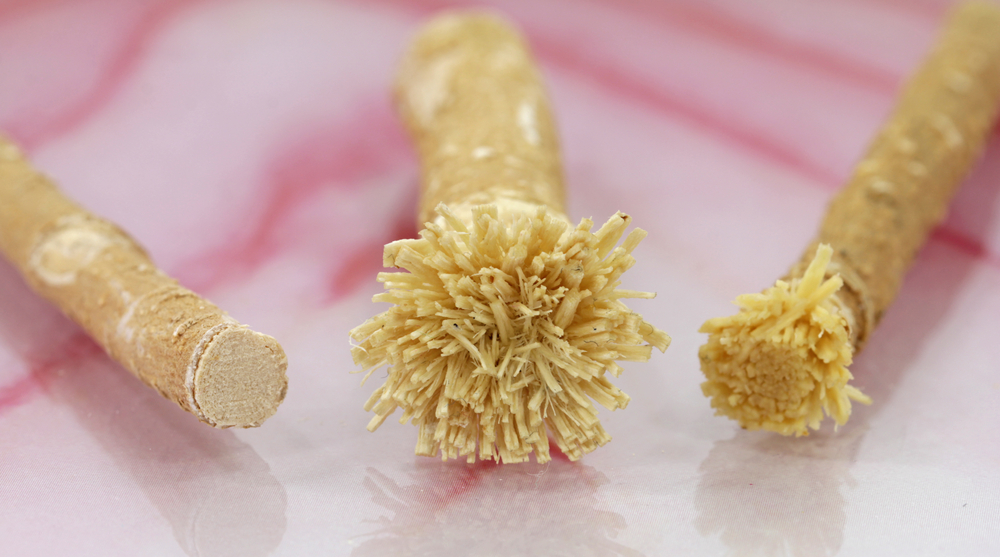 Organic Miswak Natural Toothbrush - ayooshi IGNITE